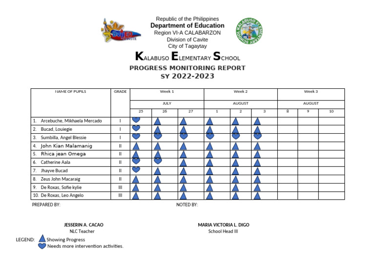 Progress Monitoring Report | PDF