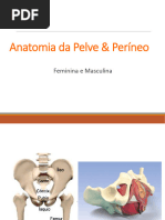 Tipos de Pelve e Suas Características | PDF