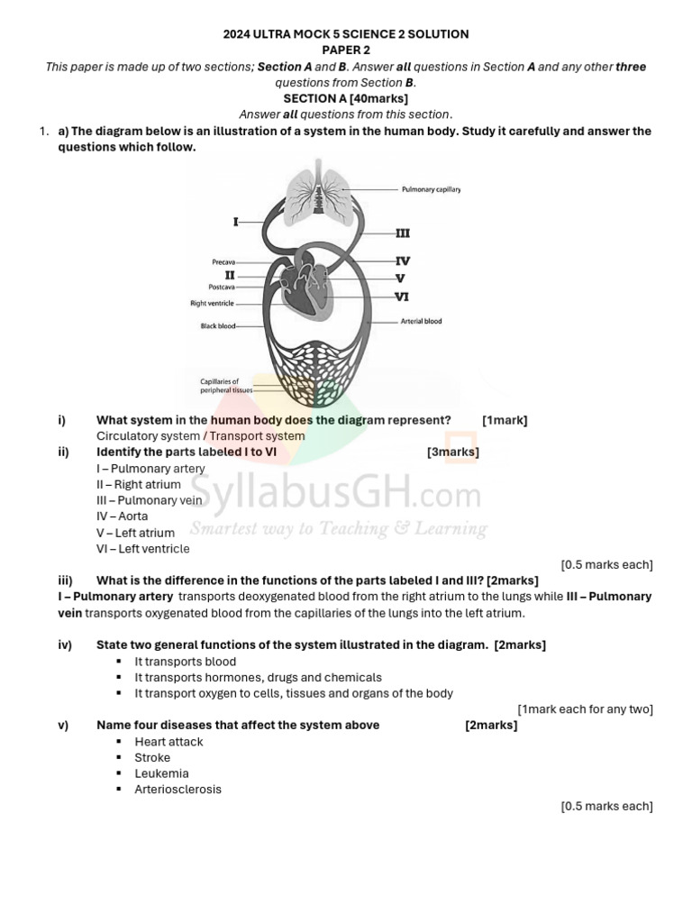 2024 Ultra Mock 5 Science 2 Solution | PDF | Artery | Acid