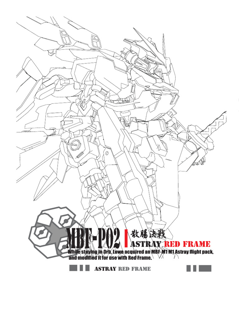 Astray RedFrame | PDF