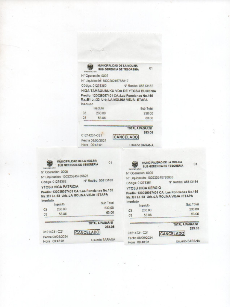 Pago de Multa La Molina 080524 | PDF