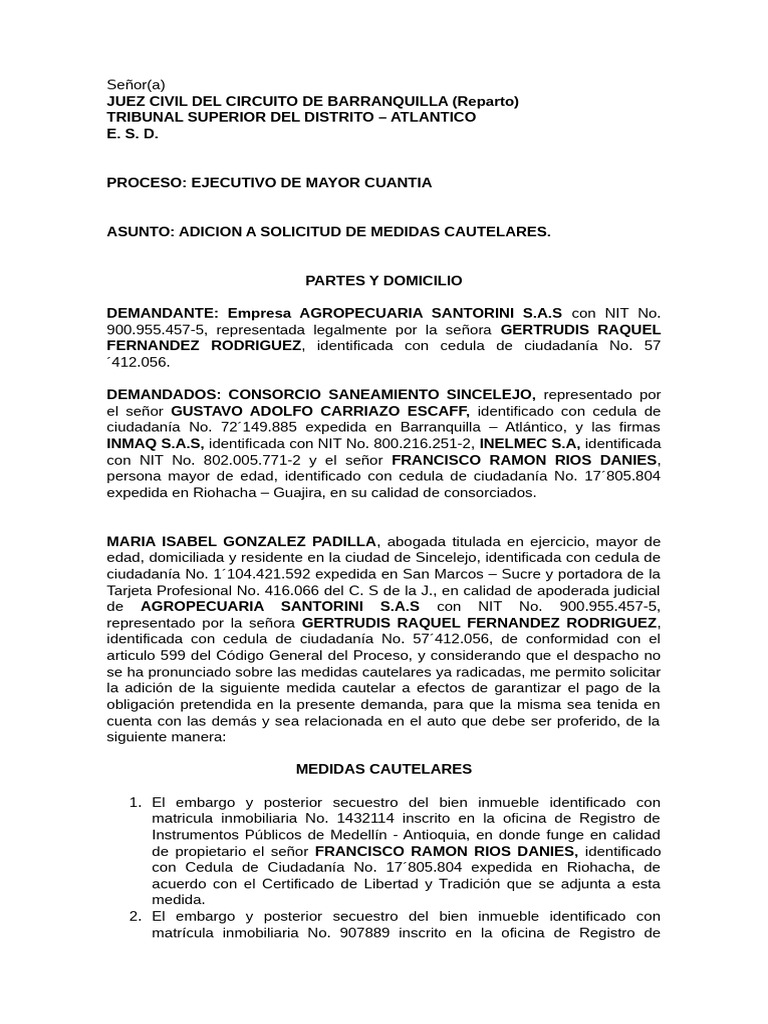 Adicion Medida Cautelar-1 | PDF | Documento de identidad | Mandato