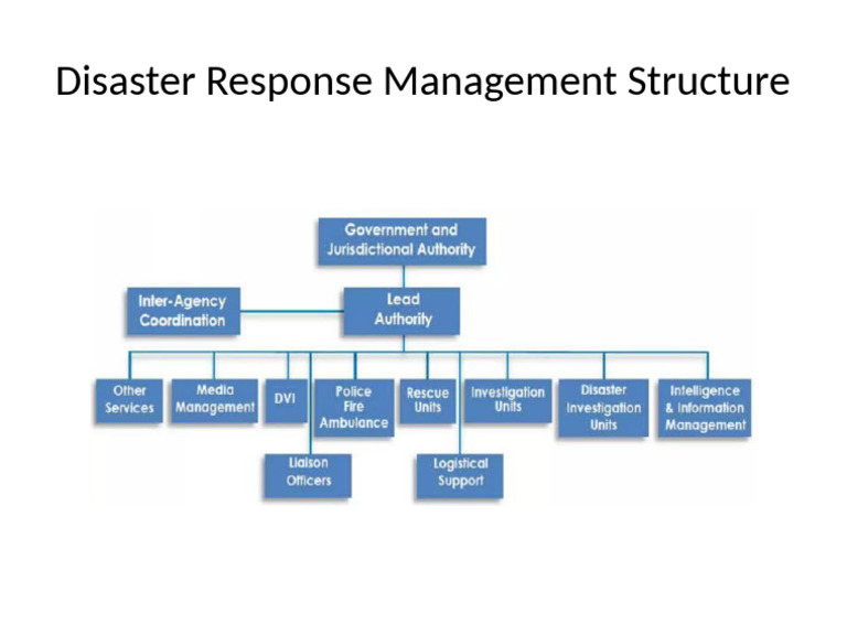 Effective Disaster Response Management Guide | PDF