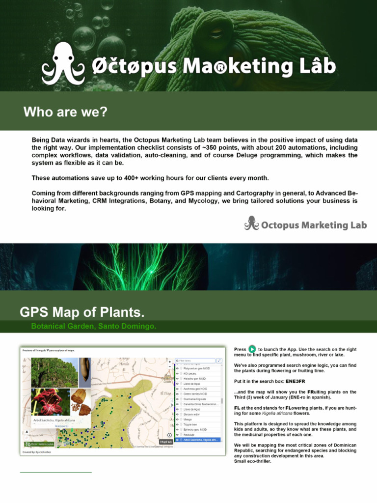 Octopus Marketing Lab Portfolio | PDF