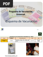 Esquema Pai Completo | PDF | Vacunas | Sarampión