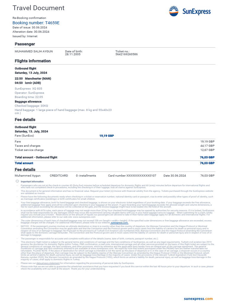 eTicket | PDF | Baggage