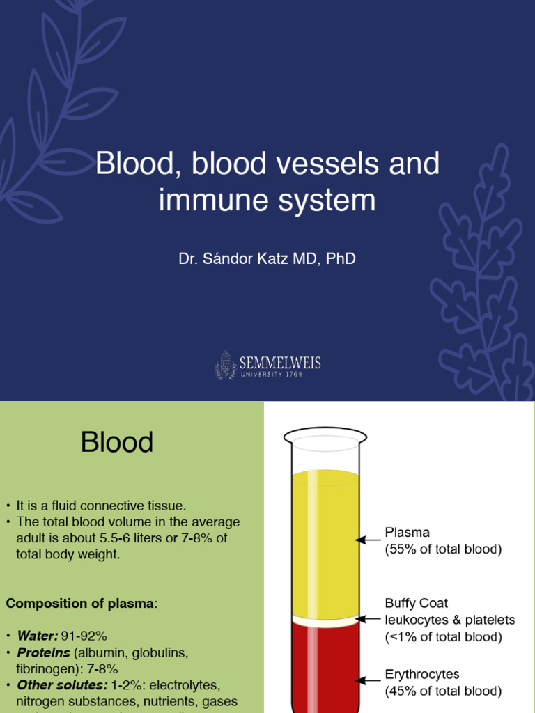 Blood and Immune System Overview | PDF | White Blood Cell | Lymphatic ...
