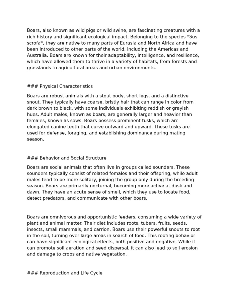 boar | PDF | Wild Boar | Pig
