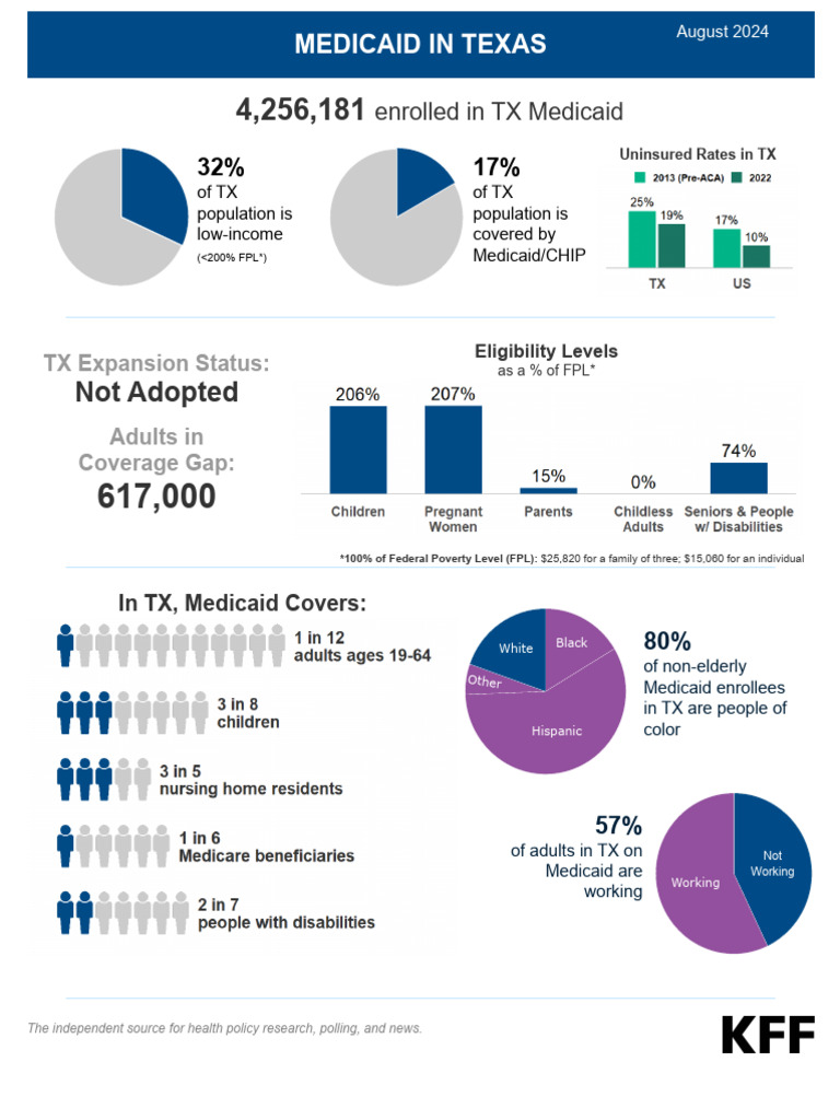 Texas Medicaid Overview 2024 | PDF | United States Department Of Health ...