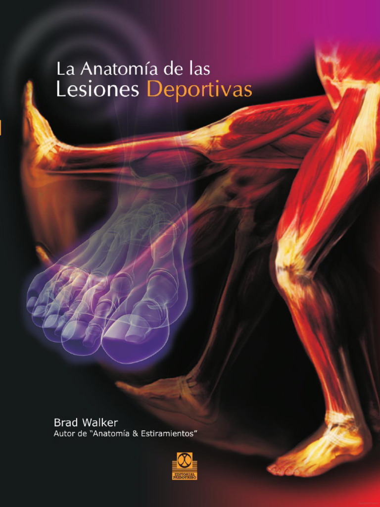 Anatomia Lesiones Deportivas | PDF