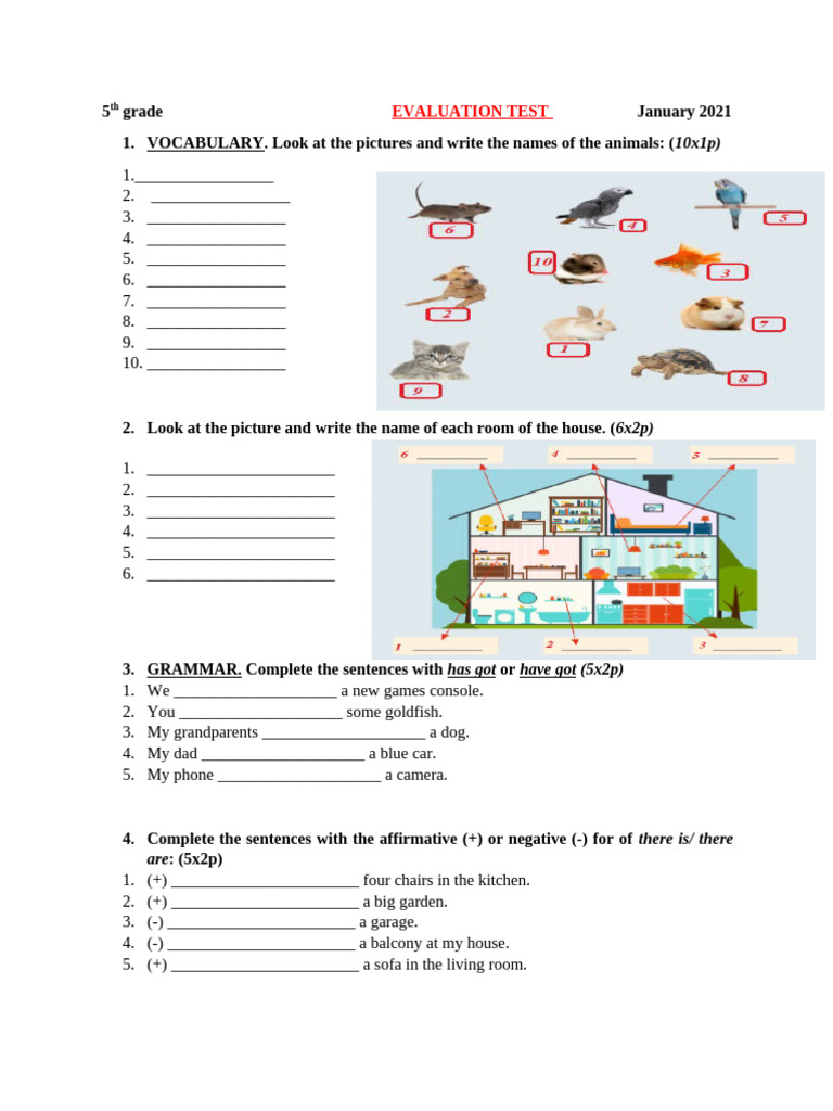 test 5th grade | PDF | Language Mechanics | Grammar