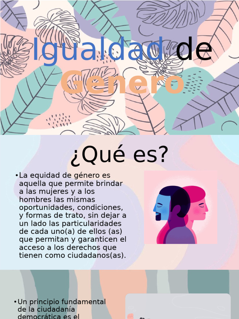 Igualdad de Genero | PDF | Igualdad de género | Estudios de género