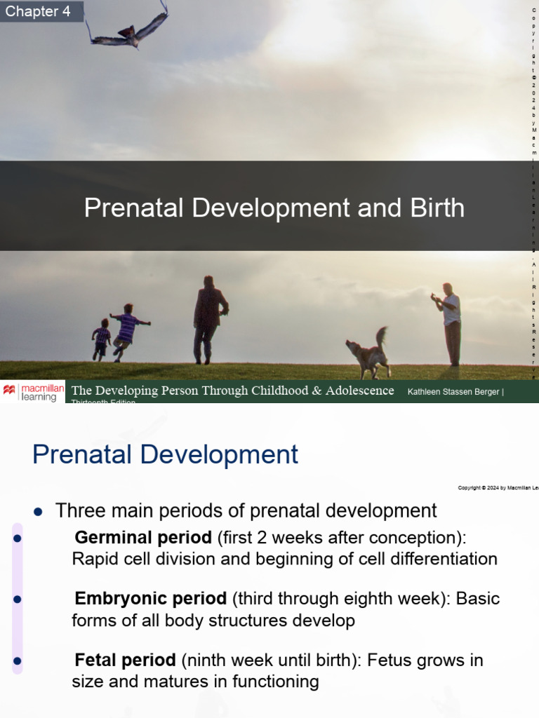 Bergerdpca13e Lectureslides ch04 | PDF | Prenatal Development | Pregnancy