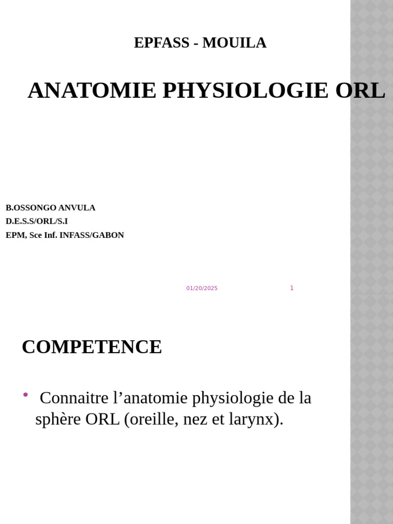 Anat Physio ORL | PDF | Oreille | Système vestibulaire