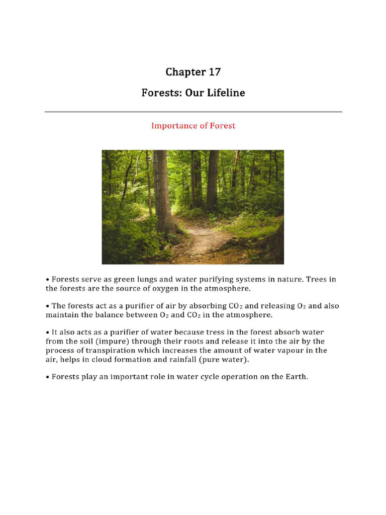 Forests | PDF