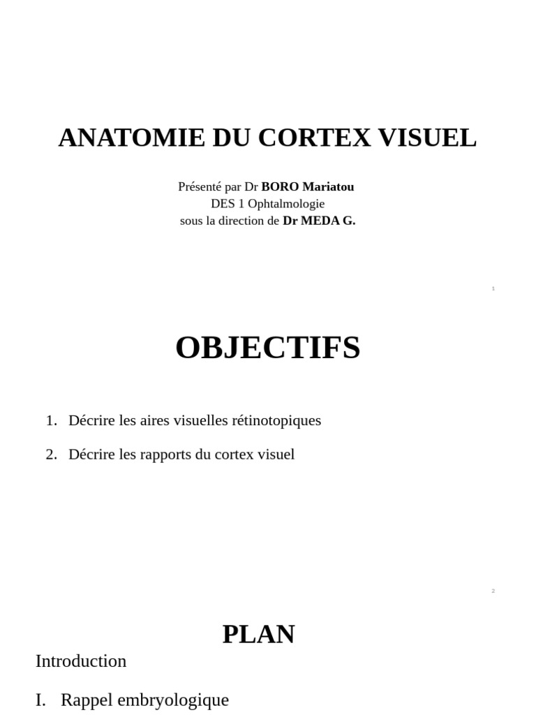 Anatomie du Cortex Visuel Humain | PDF | Cortex visuel | Sens (physiologie)