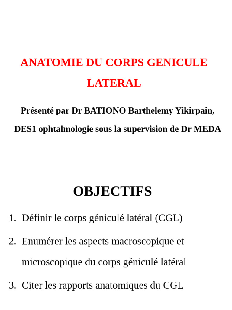Anatomie du Corps Géniculé Latéral | PDF | Système visuel | Vision