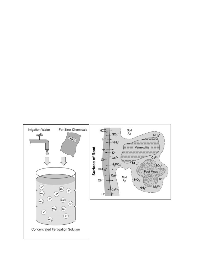 000.... Fertigation - Injecting Soluble Fertilizers Into TH | PDF ...