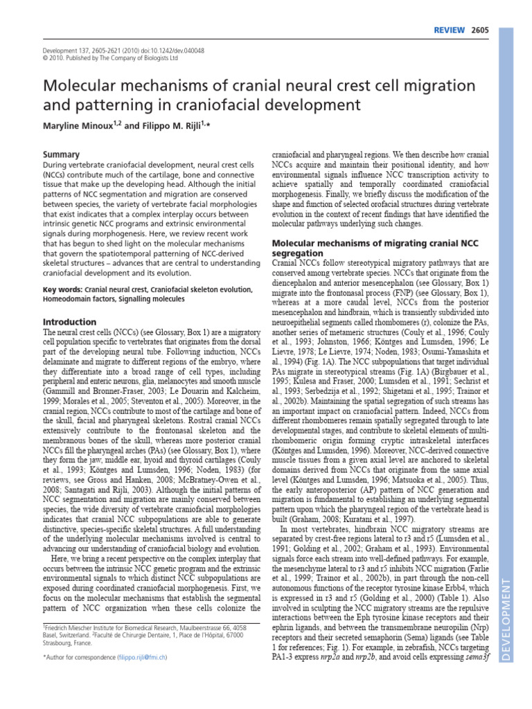 11° Molecular mechanisms of cranial neural crest cell migration and patterning in craniofacial ...