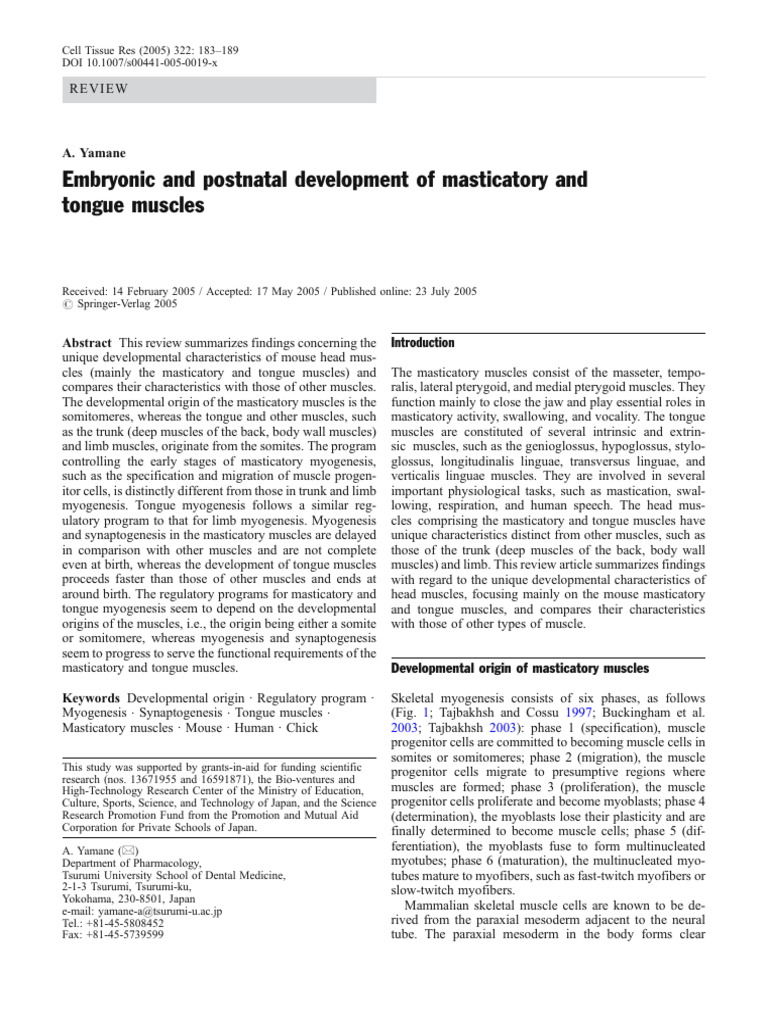 9° Embryonic and postnatal development of masticatory and | PDF ...