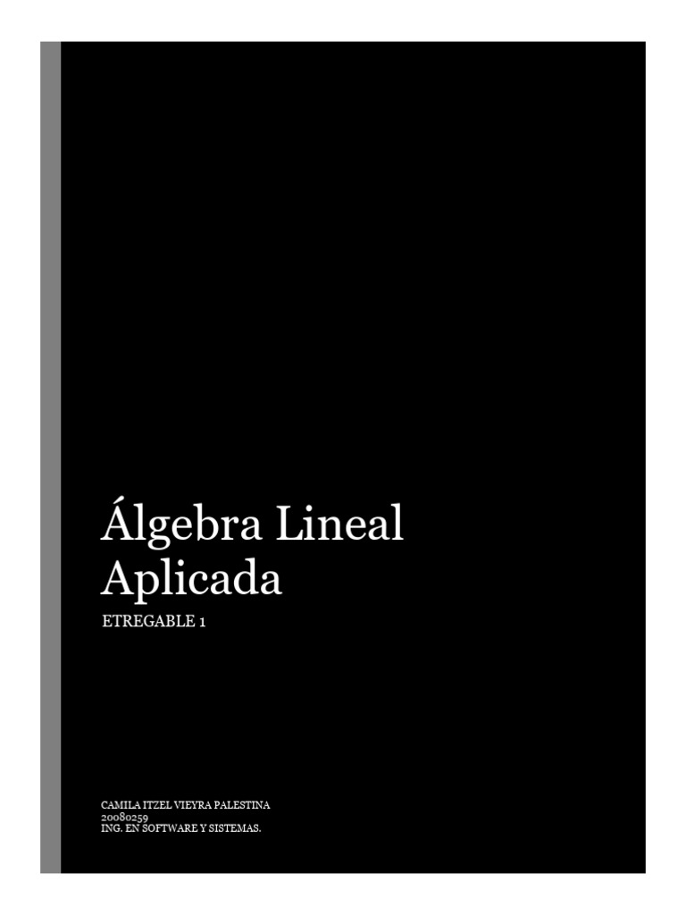 Sistema de Ecuaciones en Álgebra Lineal | PDF
