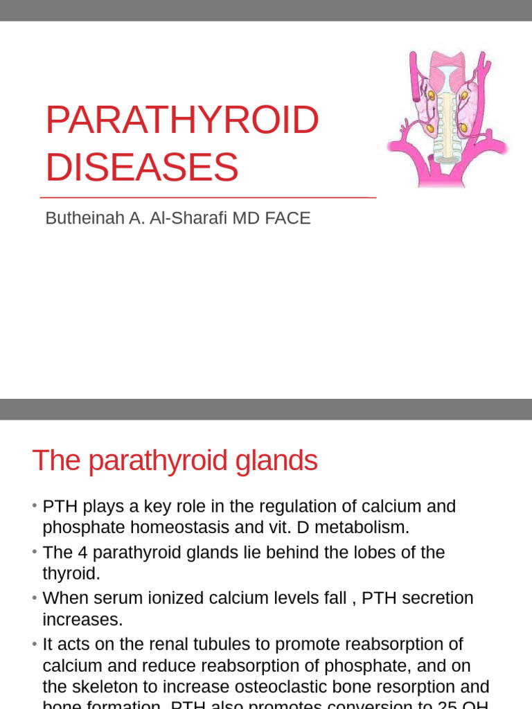 Parathyroid diseases | PDF | Diseases And Disorders | Clinical Medicine