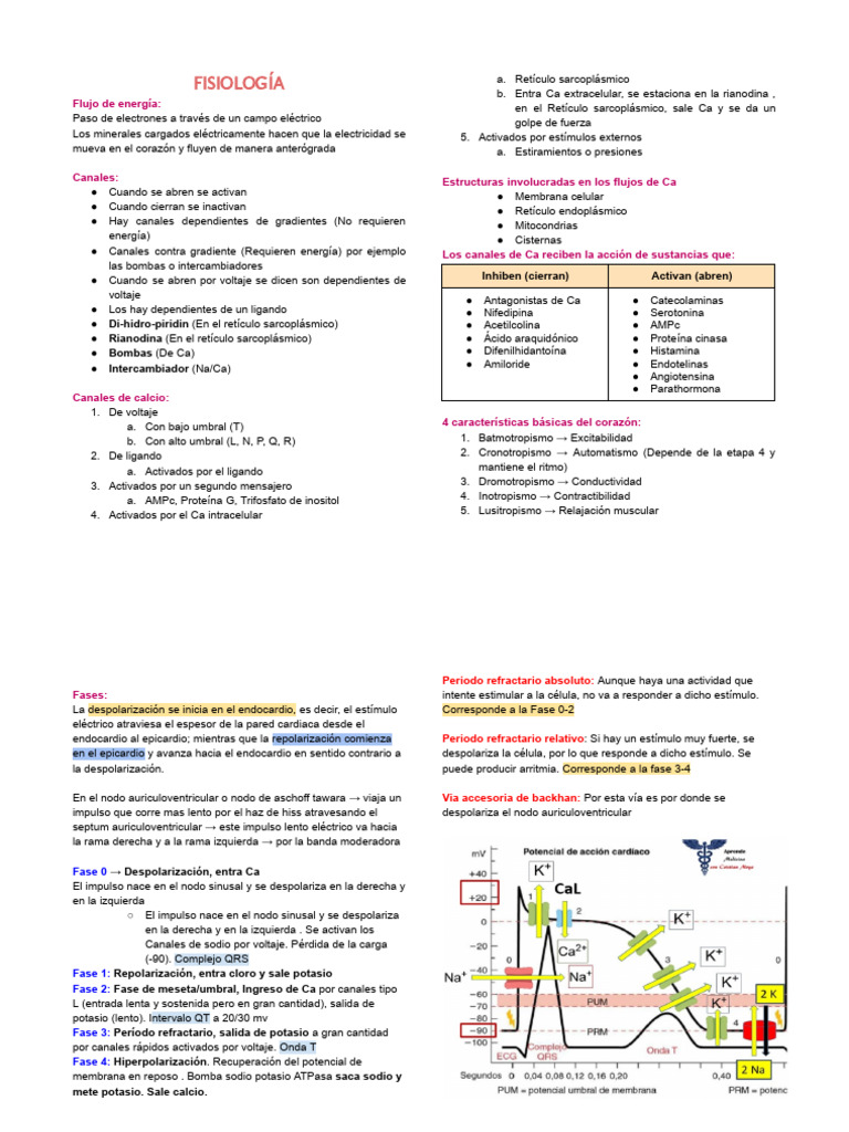 Cardio DEPA 2 | PDF | Electrocardiografia | Angiotensina