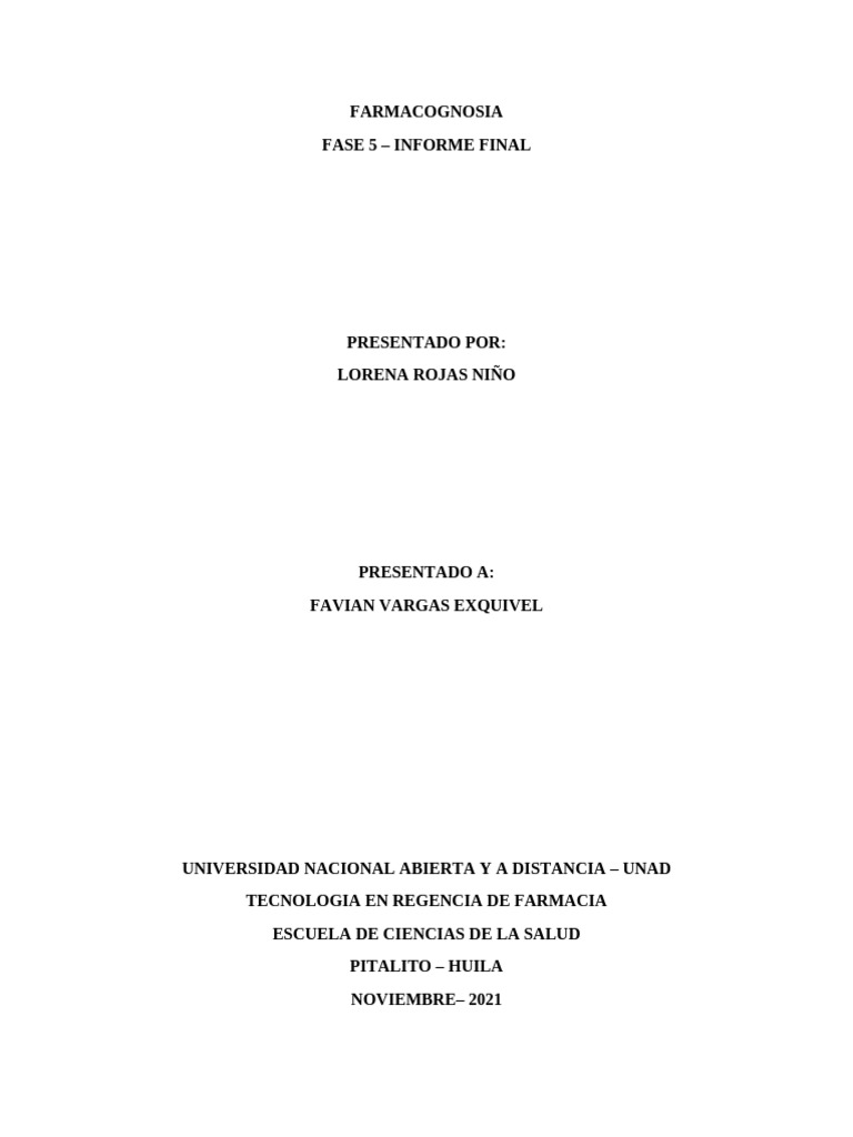 Fase 6 - Informe Final - Lorena Rojas | PDF