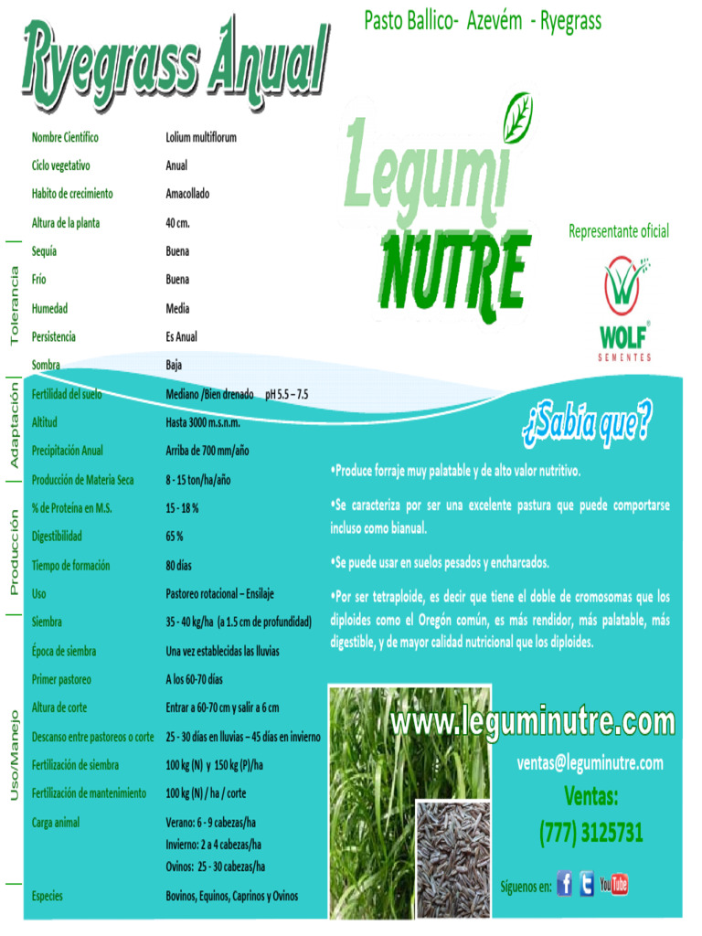 ryegrassanual | PDF | Pasto | Pasto