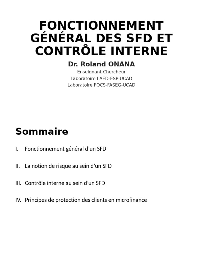 Chapitre 2 Fonctionnement Et Contrôle Interne Au Sein D'un SFD Bonbon | PDF | Risque financier ...