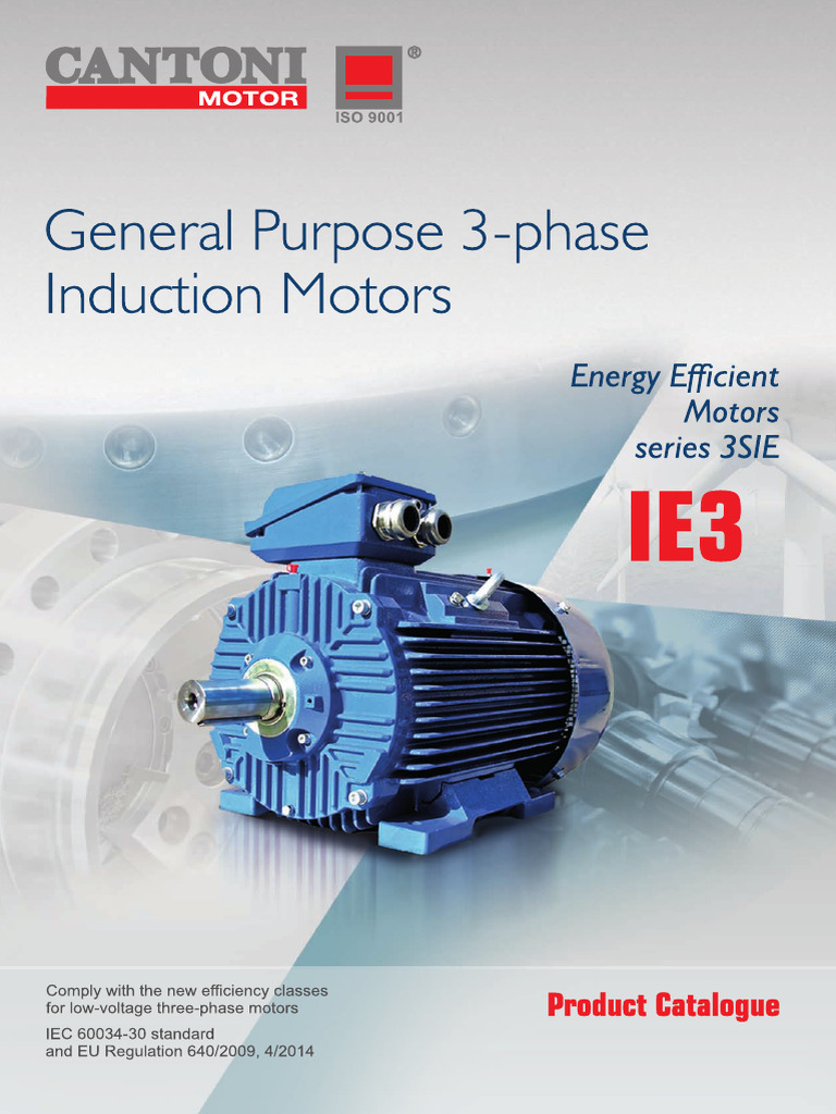 4469 Ie3 Catalogue en | PDF | Electric Motor | Electrical Engineering