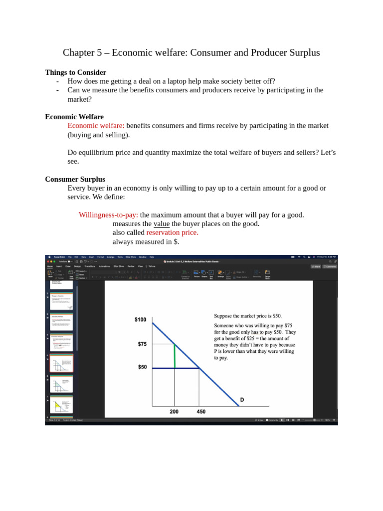 Chapter 5 - Welfare Externalities Public Goods | PDF | Economic Surplus | Externality