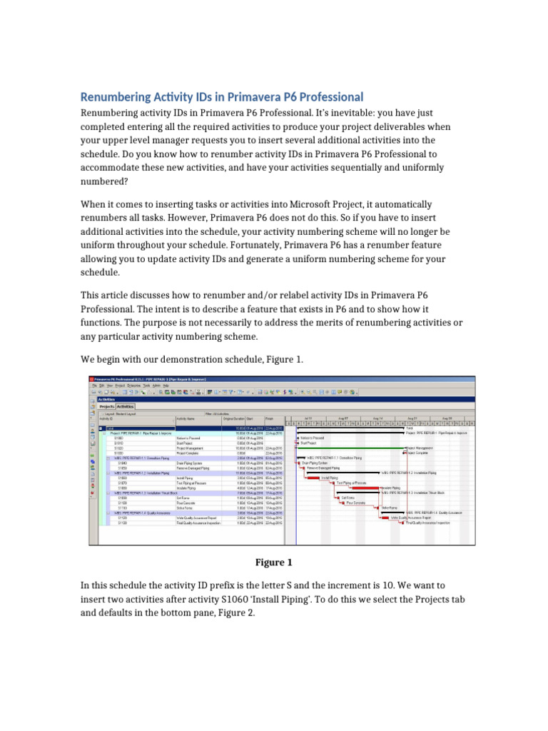 269.Renumbering Activity IDs in Primavera P6 Professional | PDF ...