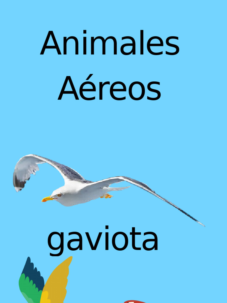 Sky Blue Fry Words for Beginner Readers Presentation_20240611_123728 ...