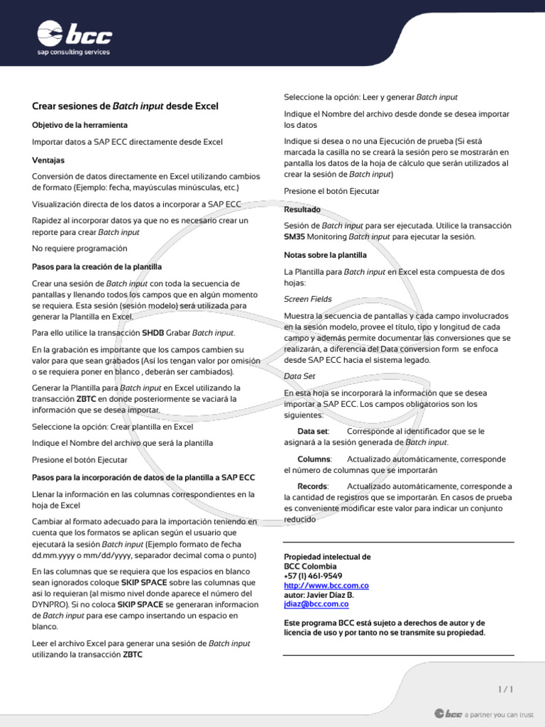 BCC SAP Data Excelerator Especificaciones Técnicas | PDF | Microsoft ...