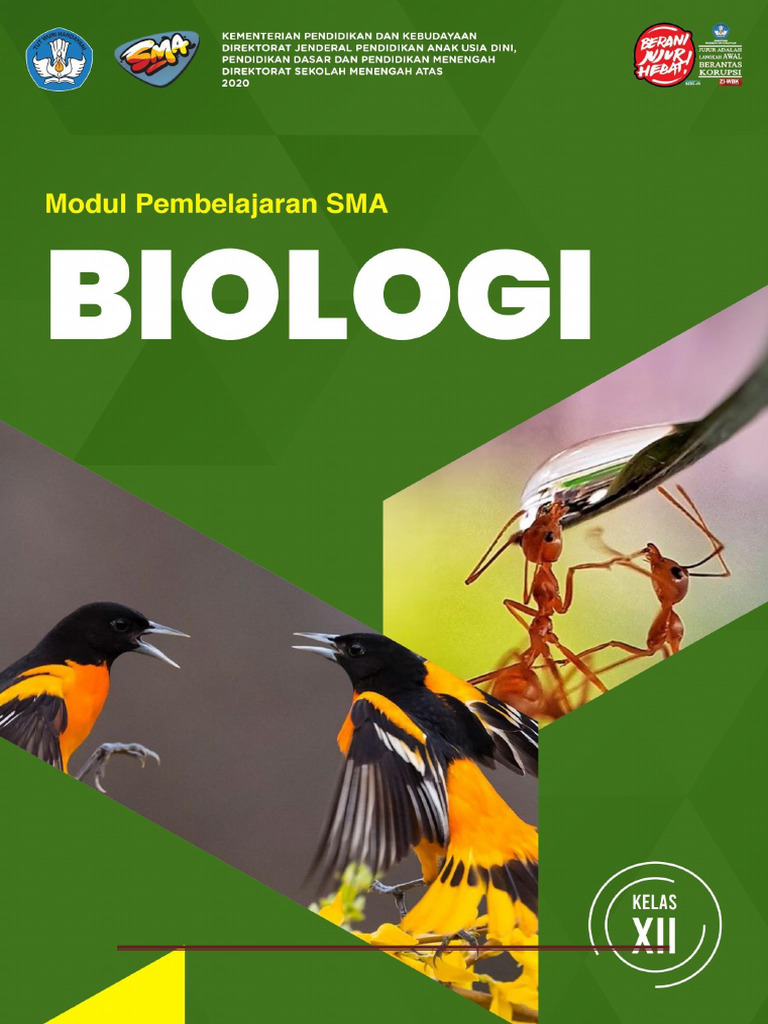 Modul Bioteknologi Kelas 10 Sma | PDF