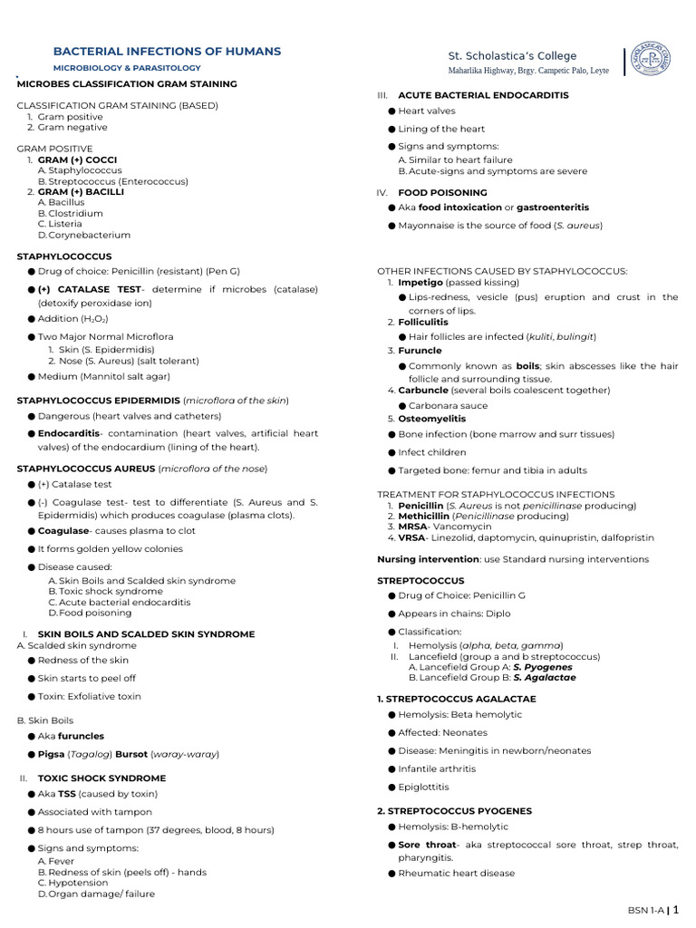 Chapter 19 Bacterial Infections of Humans | PDF | Streptococcus ...