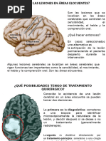 Fisiología y Anatomía Quirúrgicadela Arteria Mamaria Interna | PDF ...