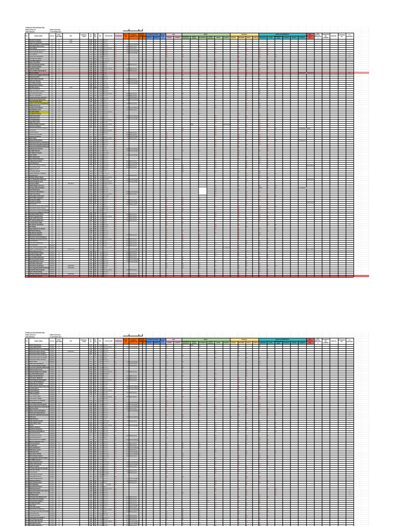 Form Penjaringan Sma - Smait Raflesia | PDF