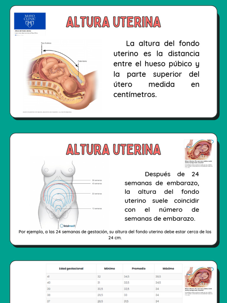 Tècnicas para Calcular La Edad Gestacional | PDF | El embarazo ...