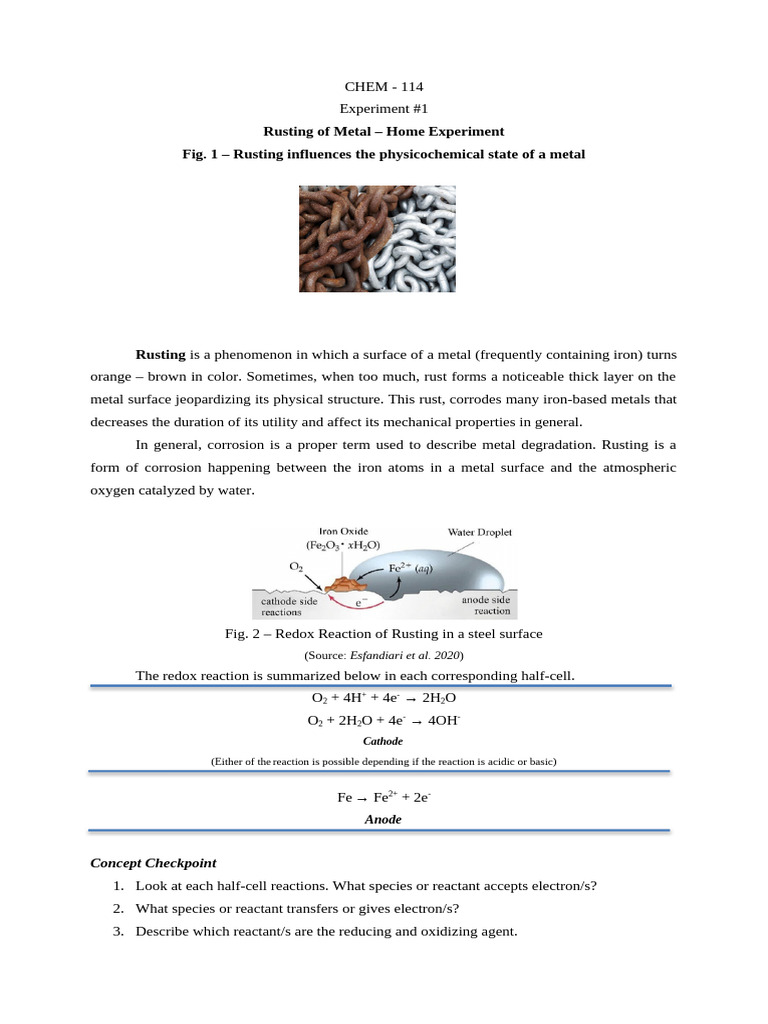 Chem 114 LAB Experiment 1 Rusting of Iron | PDF | Rust | Corrosion