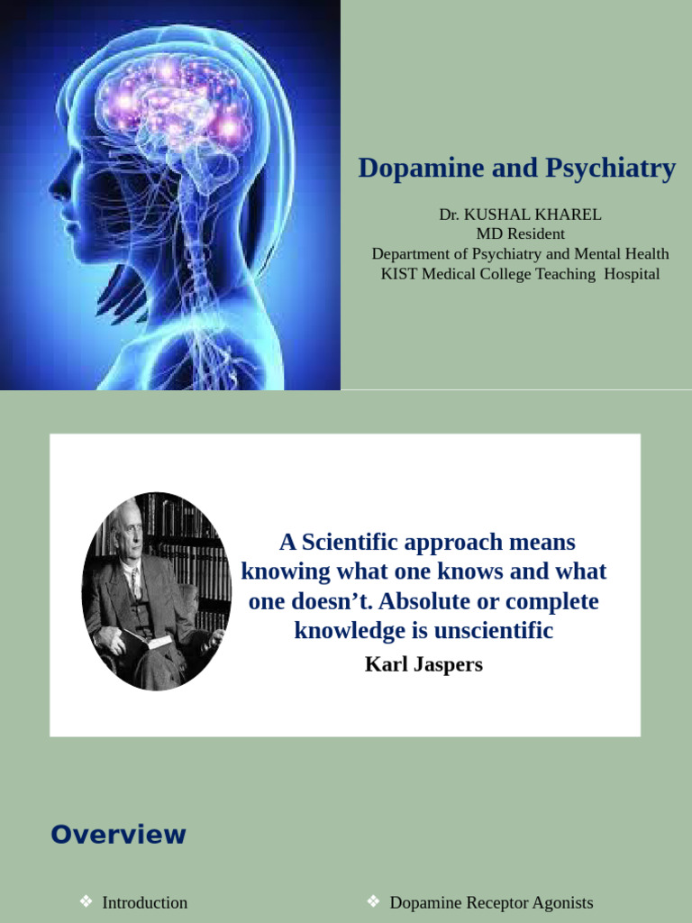 Dopamine | PDF | Dopamine | Reward System