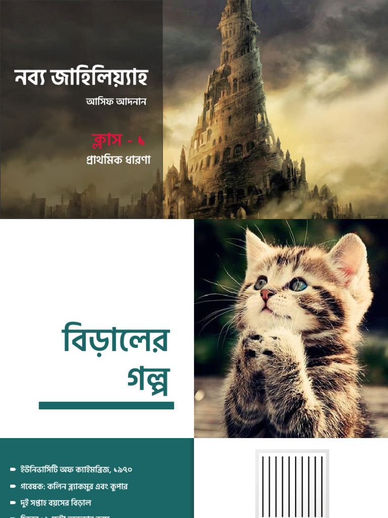 AA Class 1 Introduction Worldview | PDF