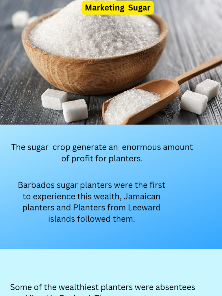 Marketing Sugar | PDF
