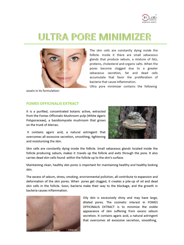 Pore Minimizer for Oily Skin | PDF | Skin | Integumentary System