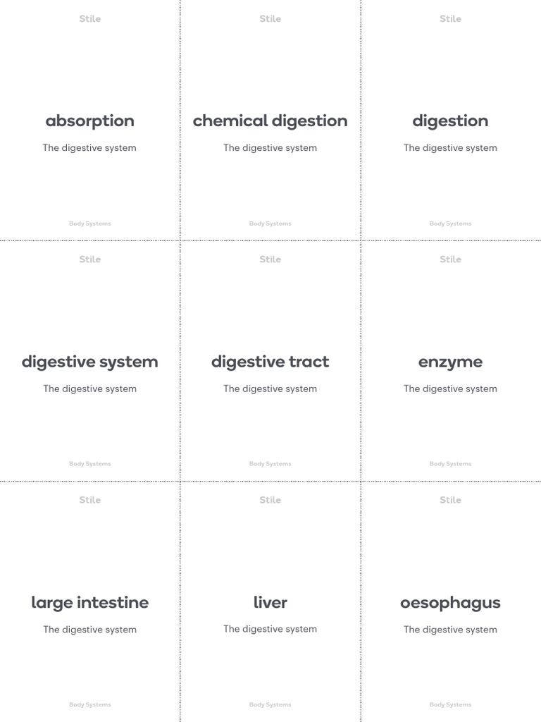 Glossary_flashcards_Body_Systems | PDF | Digestion | Human Digestive System