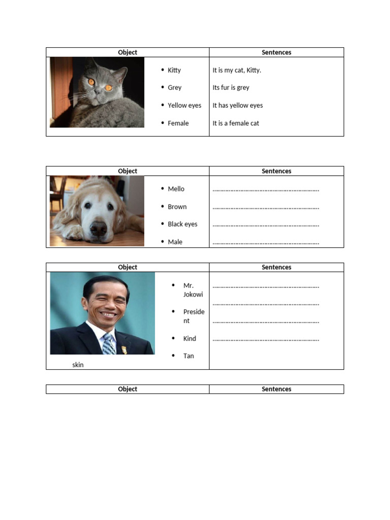 Descriptive Person Thing Animal | PDF