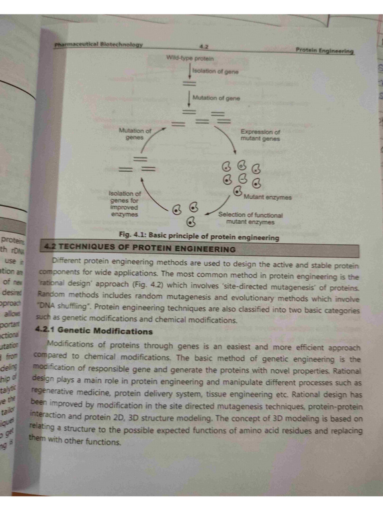 Protein Engineering | PDF
