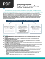 SFBT Diamond Approach Treatment Manual For Individuals Version 1 ...