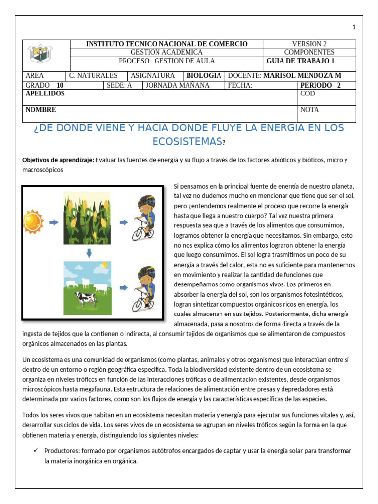 Guia 1 Energia en Los Ecosisitemas | PDF | Fotosíntesis | Respiración ...